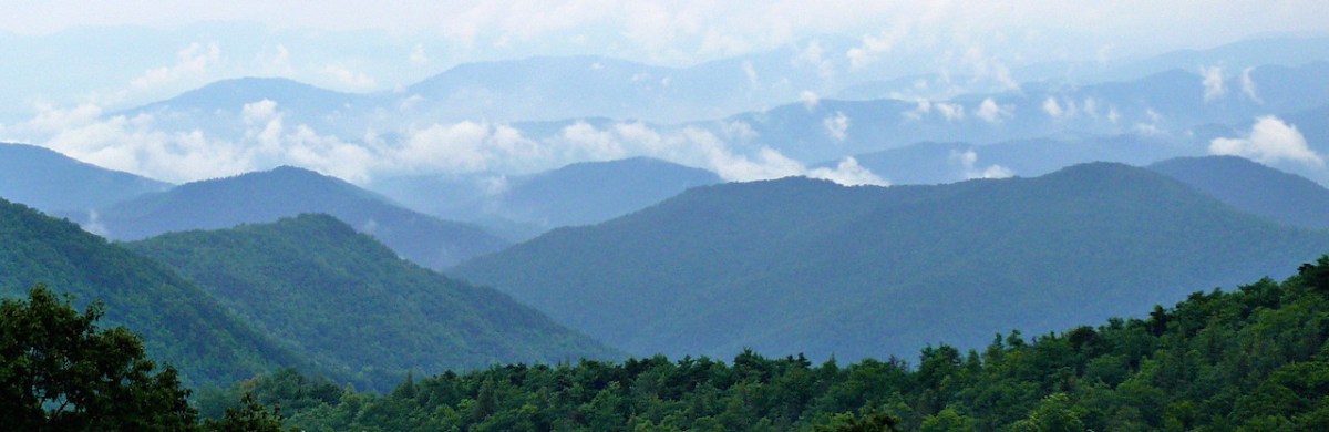 Bright Star and a Family Tree Secret | Tumbleweed Almanac